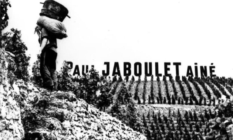 Les Cassines - Condrieu - Domaines Paul Jaboulet Aîné