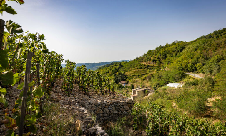 Parallèle 45 Red - Côtes du Rhône - Domaines Paul Jaboulet Aîné