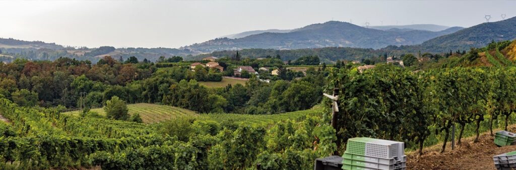 Les Sauvagères - Saint-Péray - Domaines Paul Jaboulet Aîné