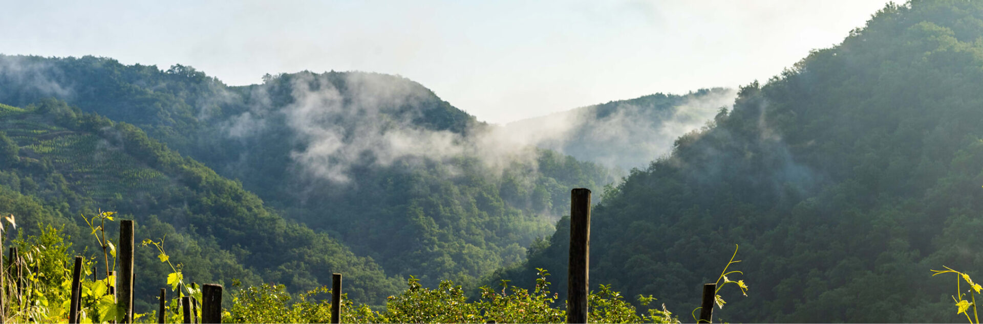 Parallèle 45 Rouge - Côtes du Rhône - Paul Jaboulet Aîné
