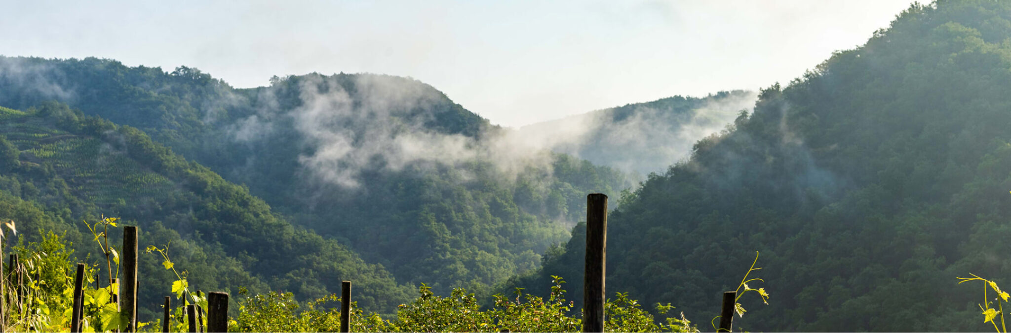 Parallèle 45 Rouge - Côtes du Rhône - Paul Jaboulet Aîné